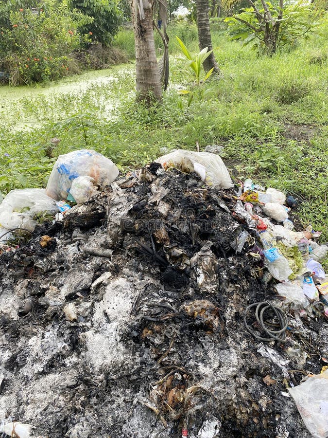 Garbage dump in the park editorial photo. Image of debris - 254215631