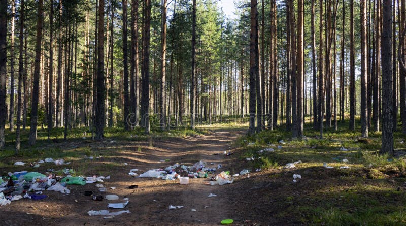 Garbage Dump in a Pine Forest. the Concept of Ecology on the Planet ...
