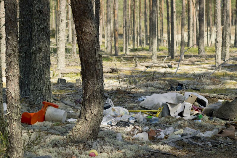 Garbage Dump in a Pine Forest. Environmental Pollution Editorial Photo ...