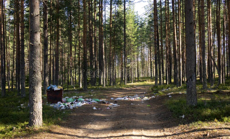 Garbage Dump in a Pine Forest. the Concept of Ecology on the Planet ...