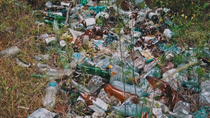 Garbage Dump of Plastic and Bottles in the Forest, Human Pollution of ...