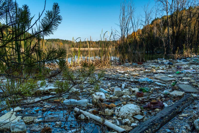 Garbage Dump in Pond. City Dump on the Territory of the River ...