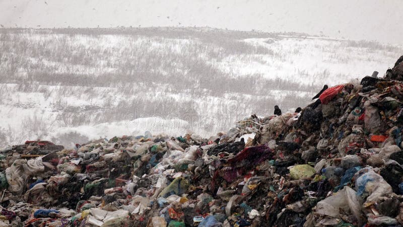 Garbage Dump. Storage of Waste for Further Disposal. Environmental ...