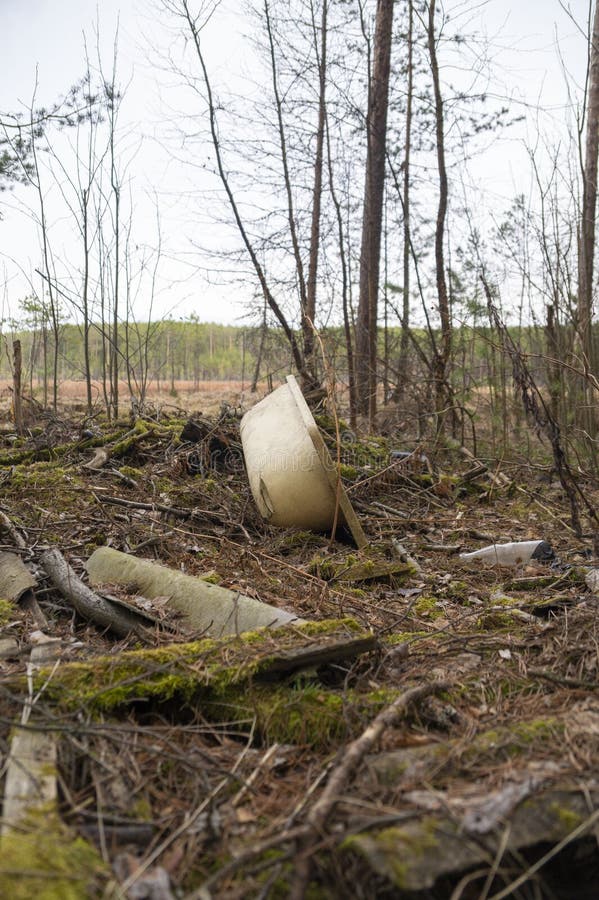 Garbage dump in the wild stock photo. Image of wildlife - 277660098