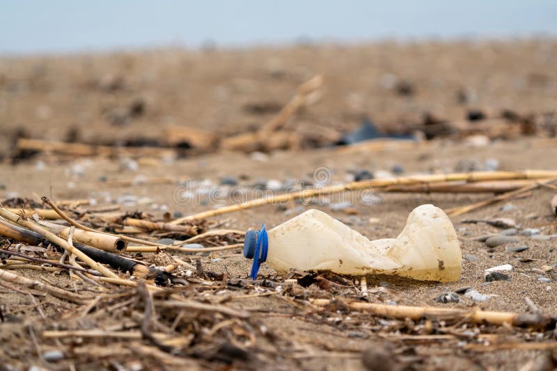 Garbage Dumped on the Seashore. Environmental Pollution Stock Image ...