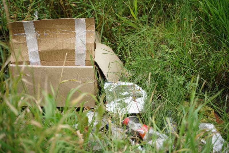 Garbage is Everywhere. Environmental Pollution. Problem of Worldwide ...