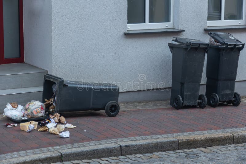 Garbage is Fallen Out of a Tumbled Down Black Garbage Can with Two ...
