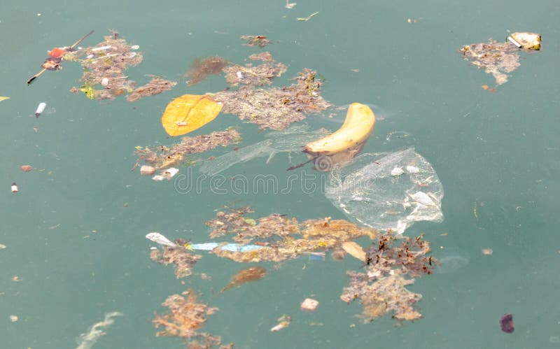 Garbage Floats on the Water in the Sea Stock Image - Image of beach ...