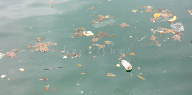 Garbage Floats on the Water in the Sea Stock Photo - Image of ...