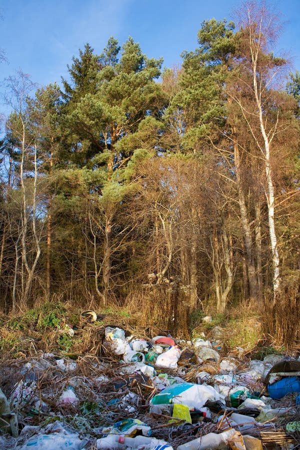 Garbage in the forest stock photo. Image of danger, carelessness - 38425692