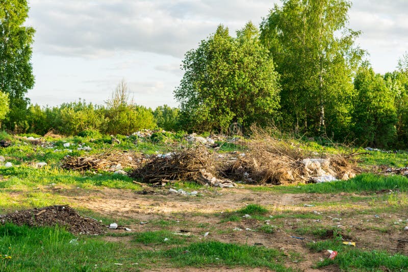 Garbage in the Forest, the Ecological Problem of Waste Disposal ...