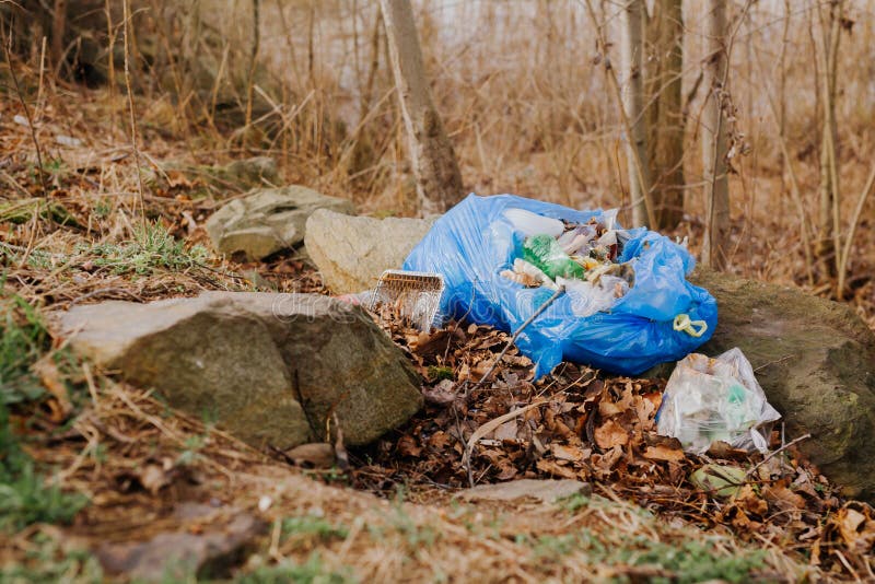 Garbage Waste Segregation Ecology Concept Stock Image - Image of ...