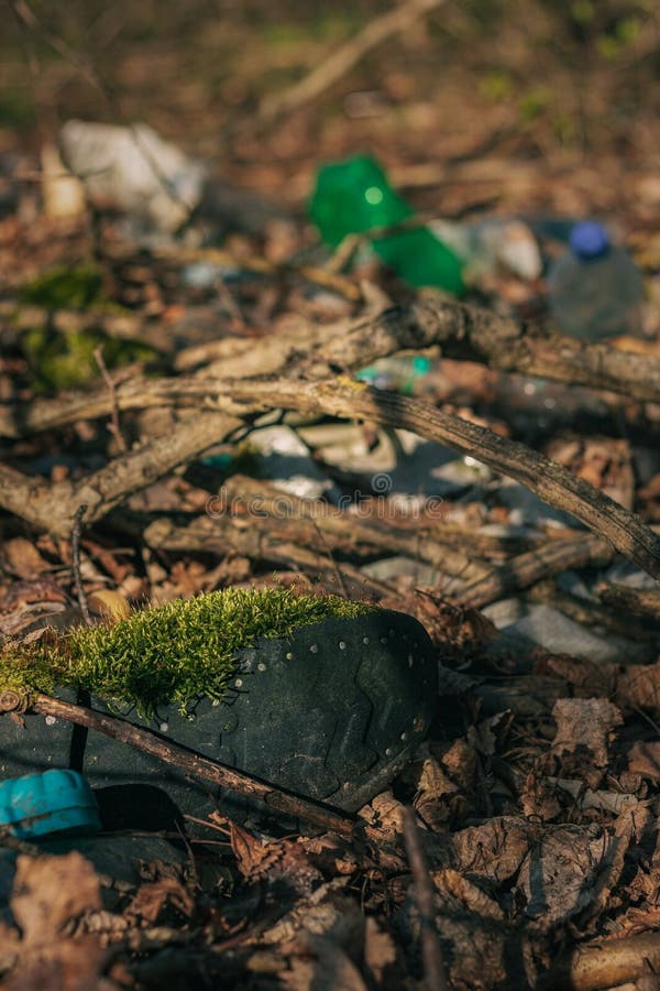 Garbage in the Forest among Fallen Leaves Stock Photo - Image of grass ...