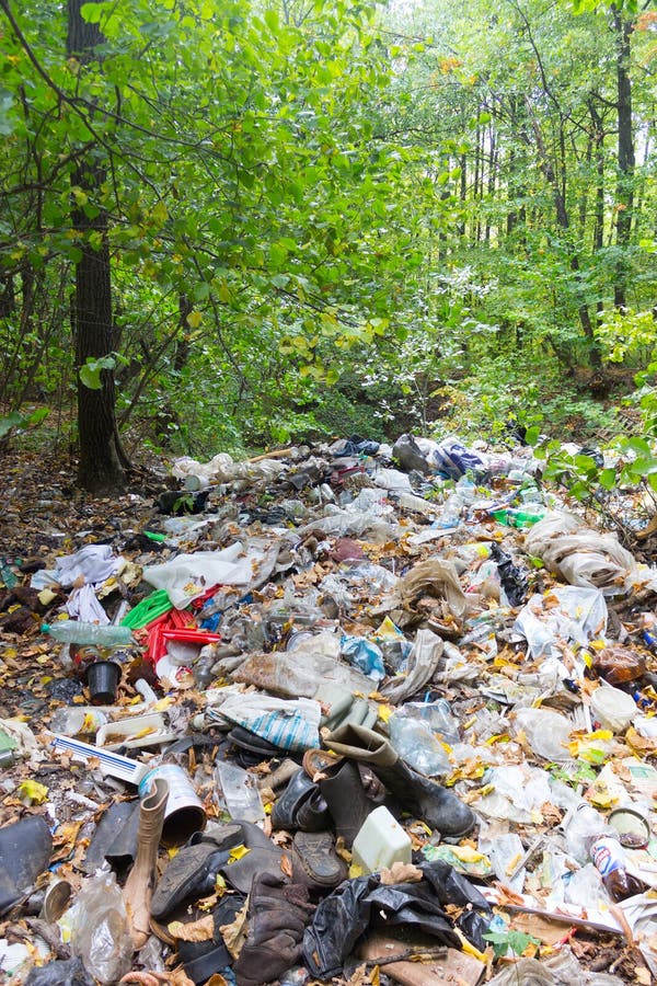 Garbage in Forest. People Illegally Thrown Garbage into Forest. Concept ...