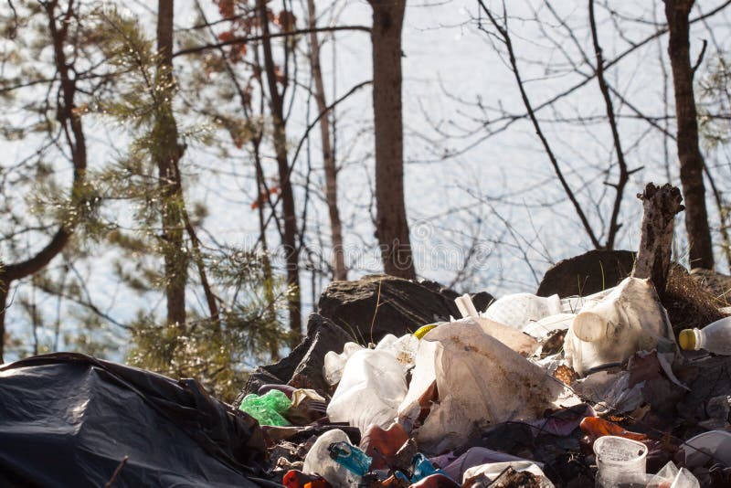 Garbage in the forest stock image. Image of scrap, problem - 110736479