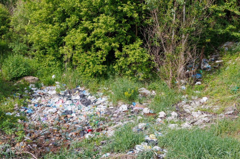 Garbage in the Forest. People Illegally Threw Garbage into the Forest ...