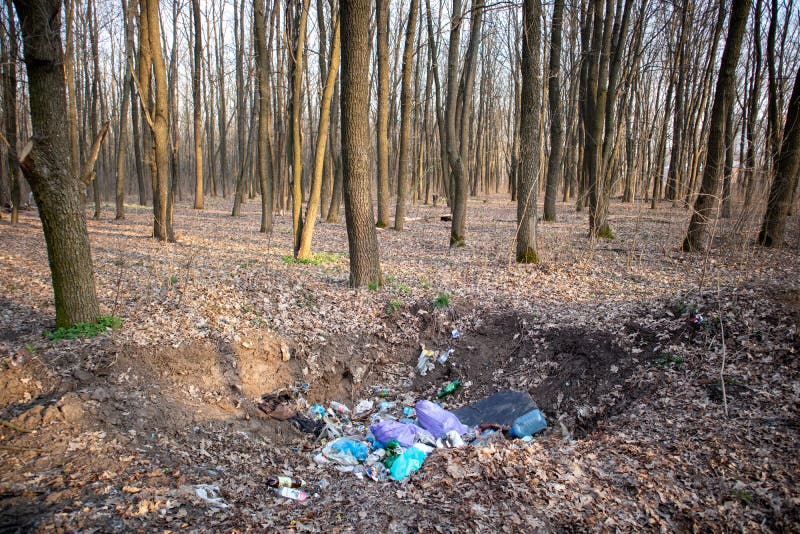 Garbage in the Forest. Pollution of Nature. Ecological Catastrophy ...