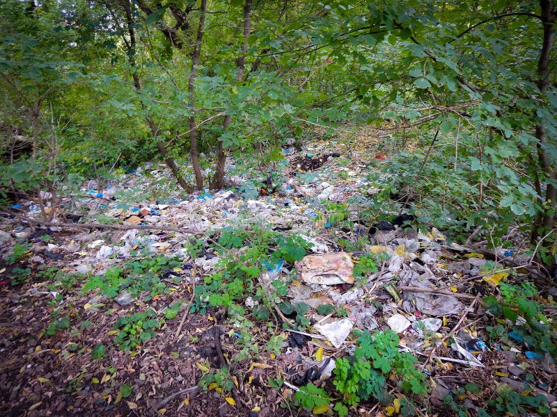 Garbage in the Forest, Pollution of Nature with Waste Stock Image ...
