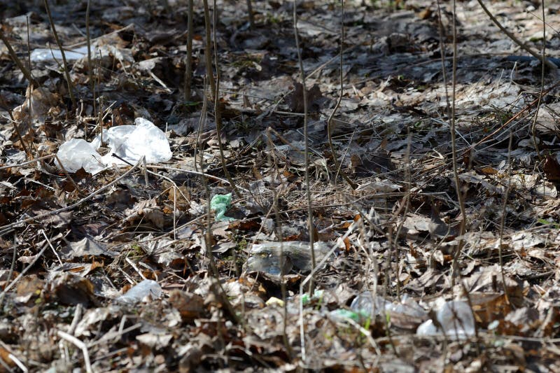 Garbage in the Forest. the Problem of Ecology and Pollution of Nature ...
