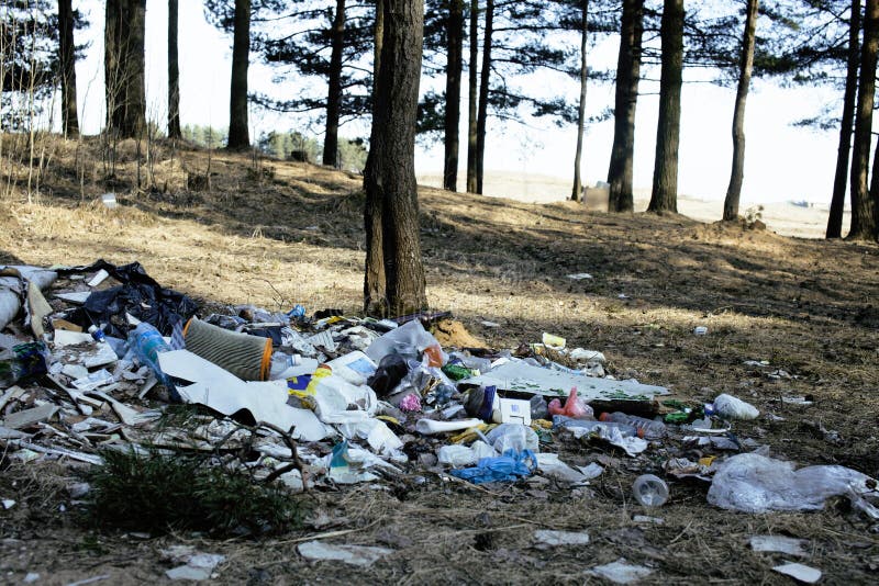 Garbage in Forest, Problems of Environment Stock Photo - Image of ...