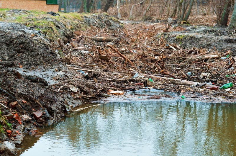 Garbage in the Forest on the River, Pollution of Reservoirs Stock Image ...