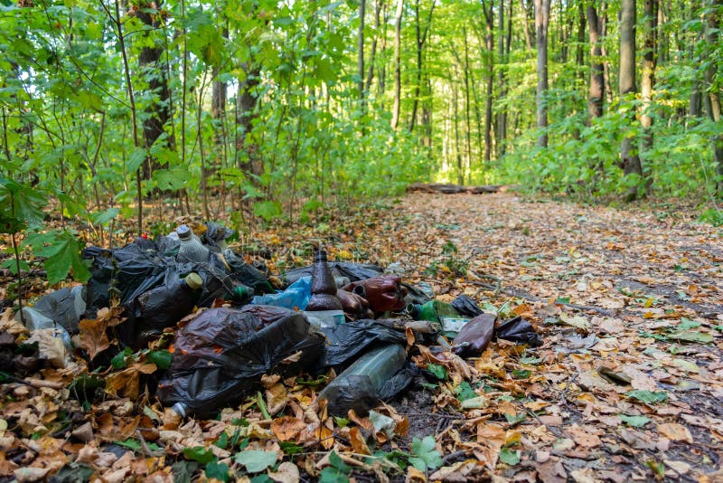 Garbage in the Forest, Consisting of Plastic Bottles and Plastic Bags ...