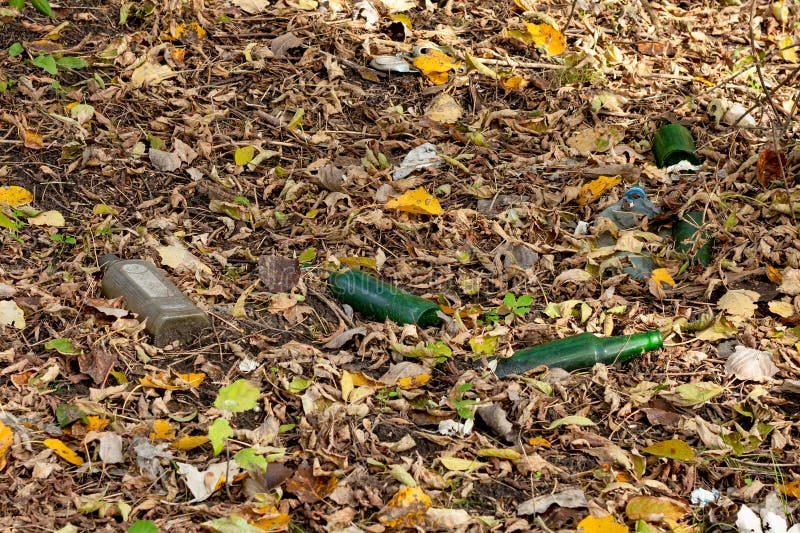 Garbage in the Form of Glass Bottles on Fallen Autumn Leaves on the ...