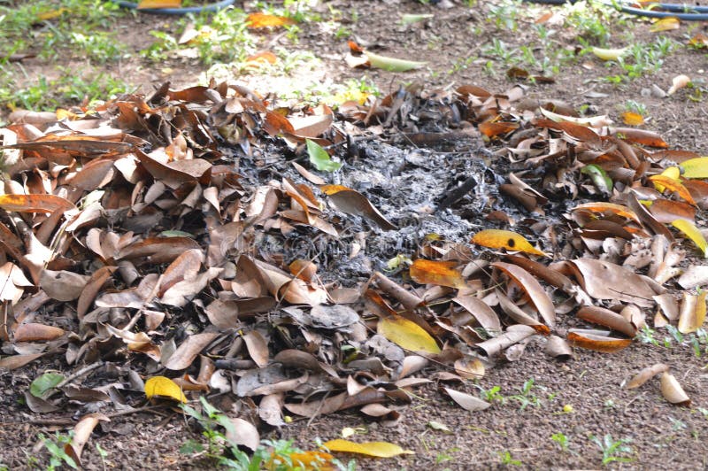Garbage Going To Dry in Ground Stock Image - Image of green, brown ...