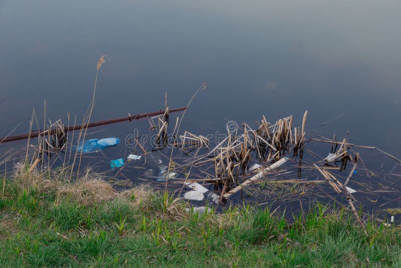 Garbage in the Grass by the Lake. Stock Photo - Image of environment ...