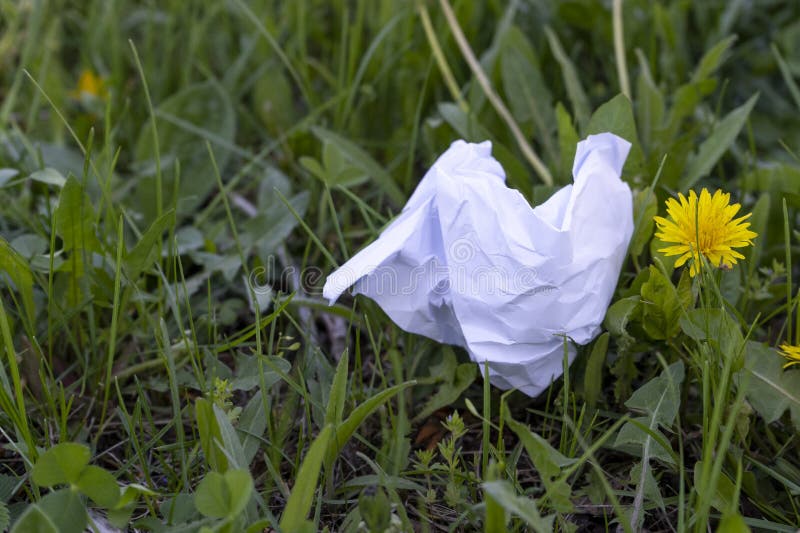 Garbage on the Grass, a Paper Ball on the Ground in the Park Stock ...