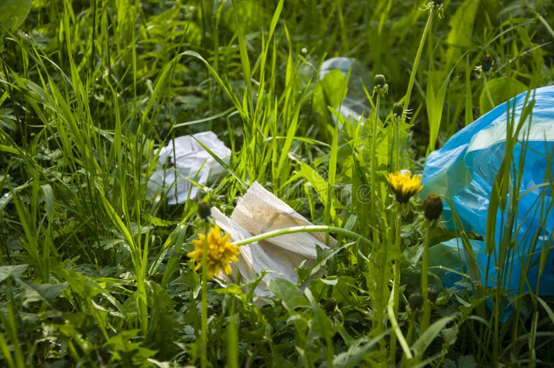Garbage on the Grass, a Paper Ball, Plastic Bottles, a Bag on the ...