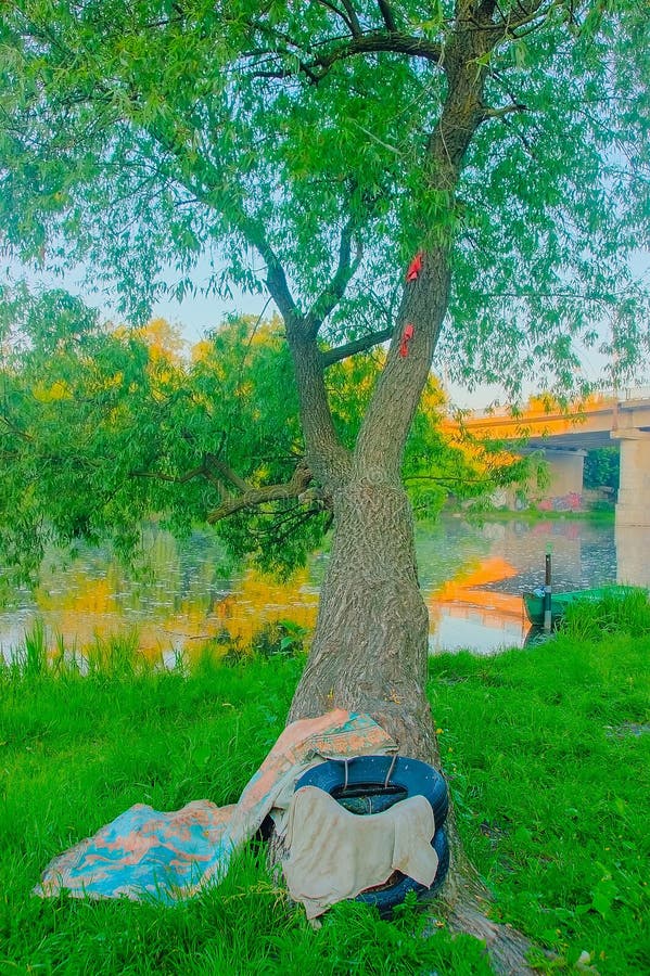 Garbage on Ground, Nature Scene Landscape Stock Image - Image of ...