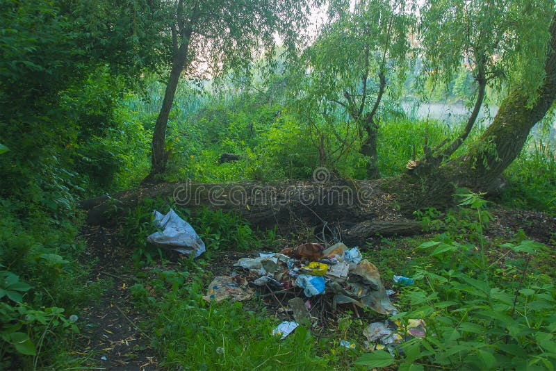 Garbage on Ground, Nature Scene Landscape Stock Photo - Image of ...