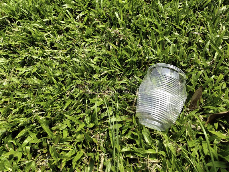 Garbage on the Ground. Plastic Cup Trash Stock Photo - Image of outdoor ...