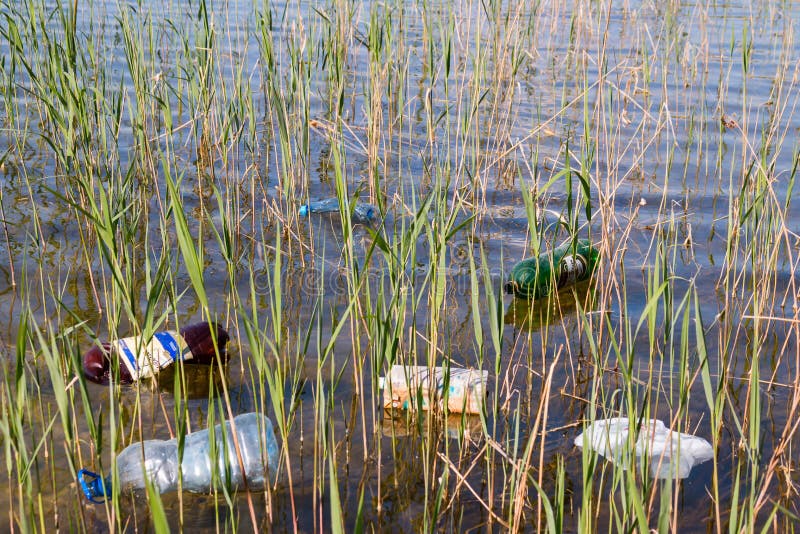 Garbage in the Lake Closeup Stock Photo - Image of care, planet: 72100452