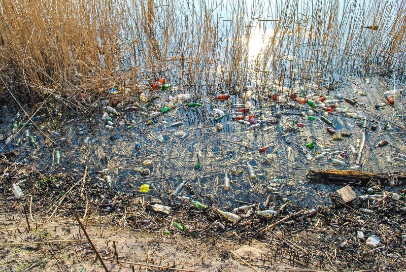 Garbage in Lake, Water Pollution. Rubbish and Bottles Float in River ...