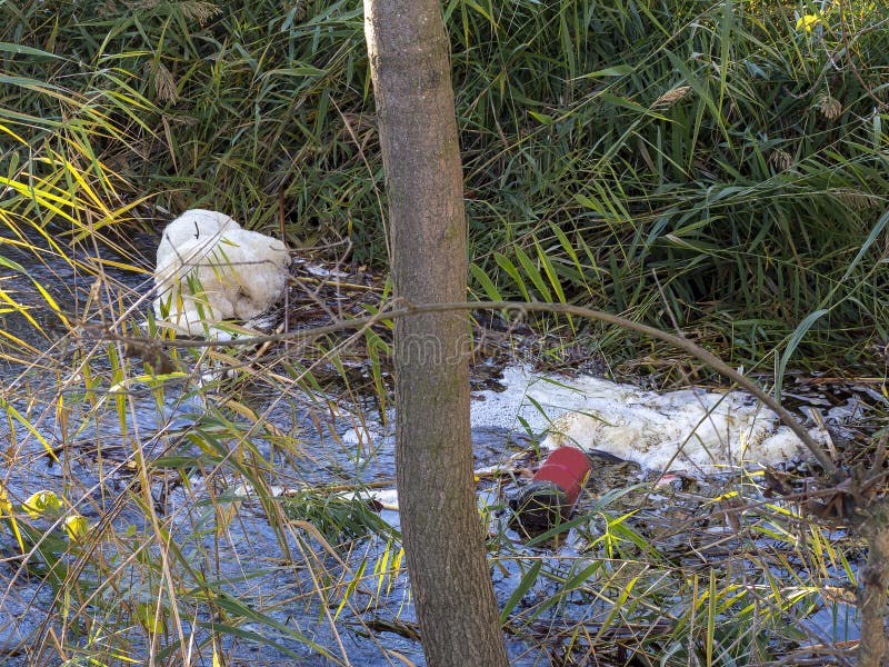 Garbage in a Large River on Its Way through the City Stock Photo ...