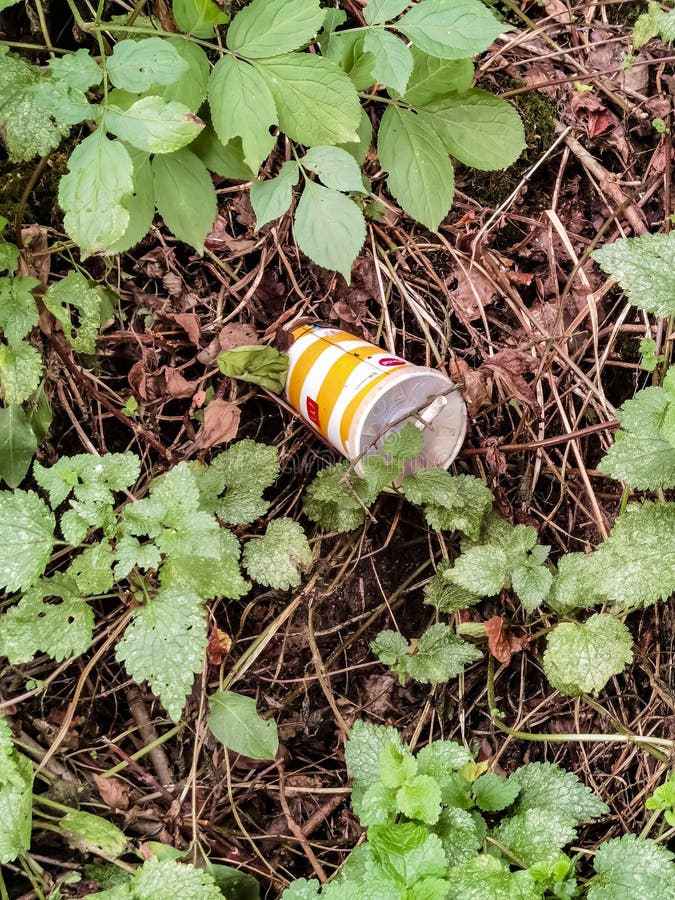 Garbage Left Behind in Nature Stock Photo - Image of plant, jungle ...
