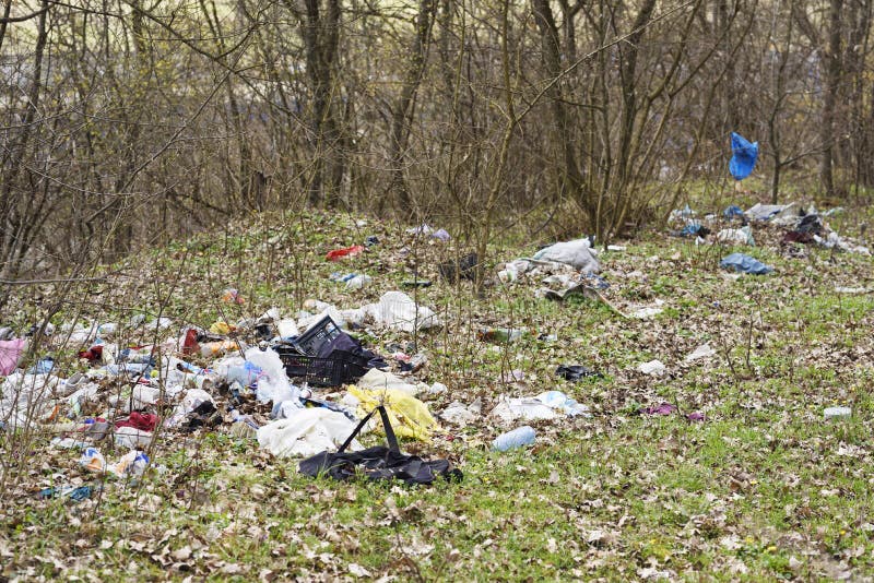 Garbage Left in the Woods in Romania Stock Image - Image of forest ...