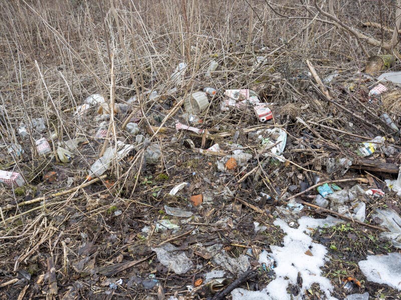 Garbage Lies on the Ground in the Spring in the Forest. the Concept of ...