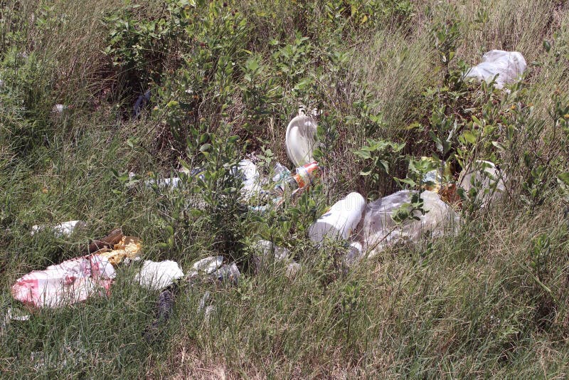 Garbage left in the grass stock photo. Image of river - 120243372