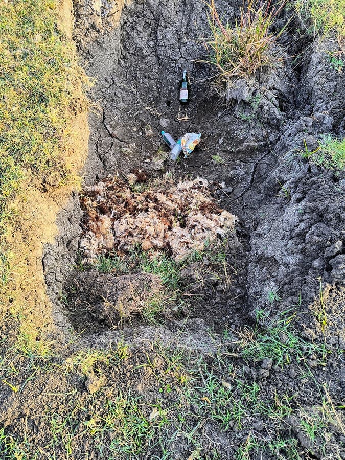 Garbage and litter stock photo. Image of litter, green - 347184584