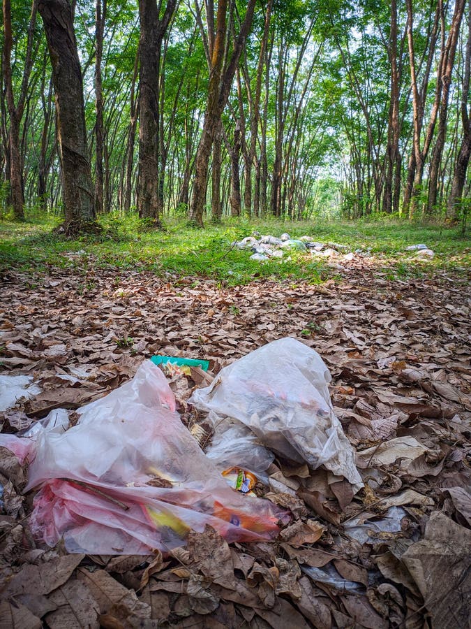 Garbage Littering the Forest. Stock Image - Image of piled, environment ...