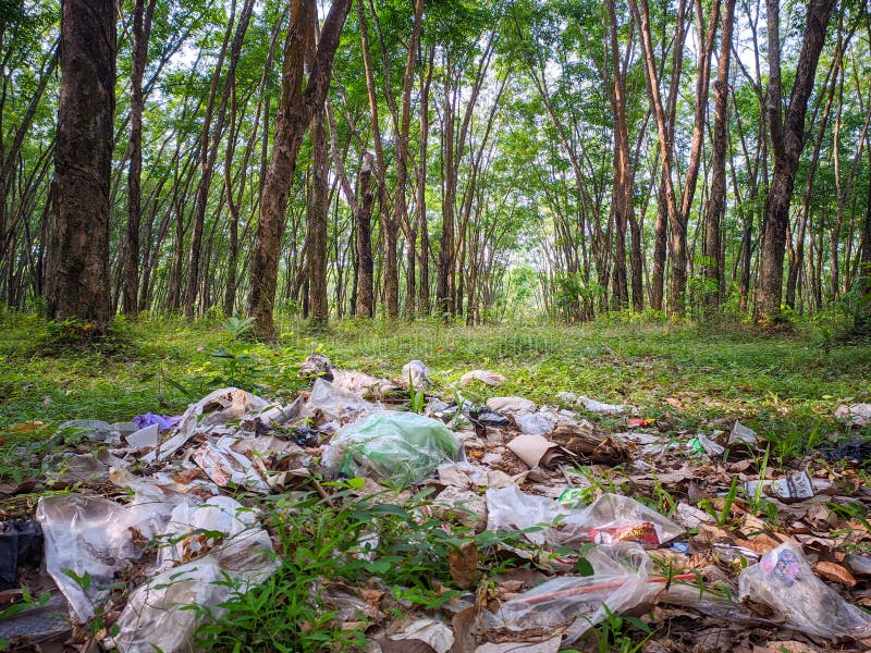 Garbage Littering the Forest. Stock Photo - Image of playground, dump ...