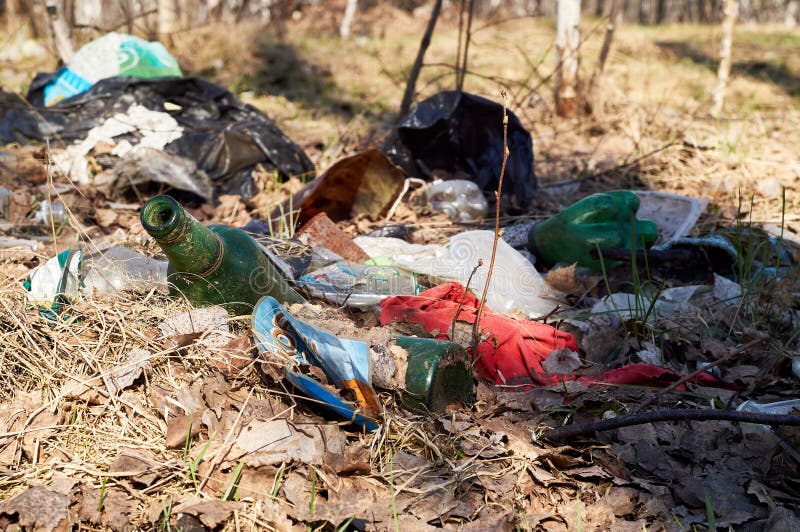 Garbage Lying in the Forest. People Pollute the Environment Stock Photo ...