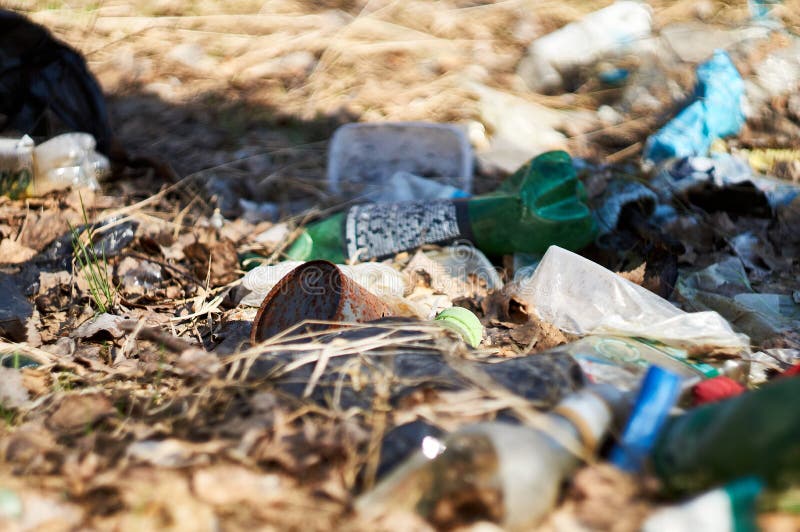 Garbage Lying in the Forest. People Pollute the Environment Stock Photo ...