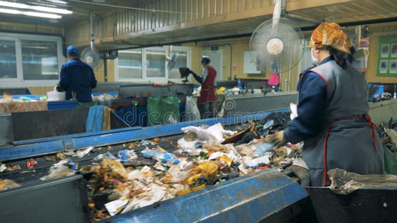 Two Workers Sorting Plastic Bottles in a Recycling Factory ...