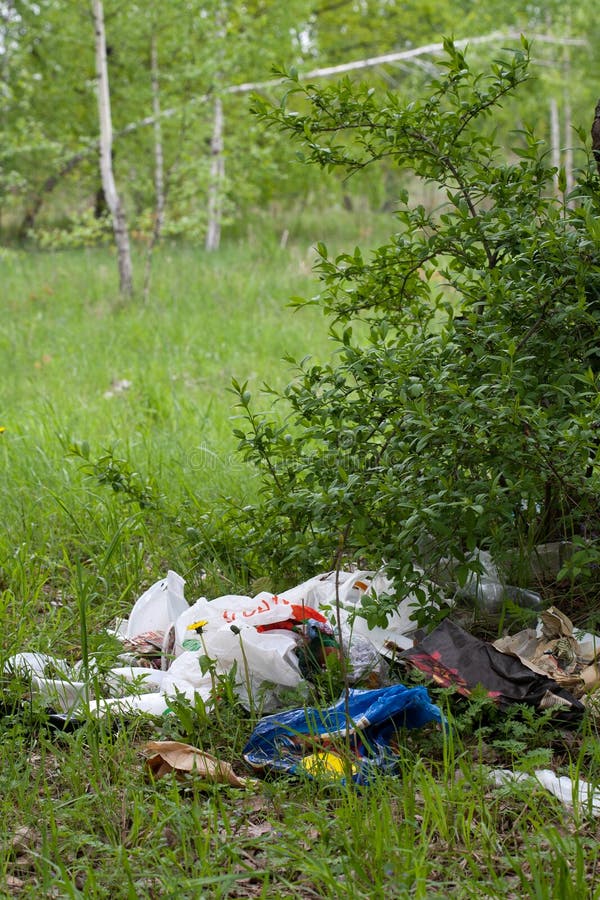Garbage in nature stock image. Image of country, messy - 19445643