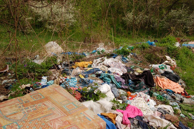 Garbage in nature stock image. Image of forest, mess, messy - 5274563