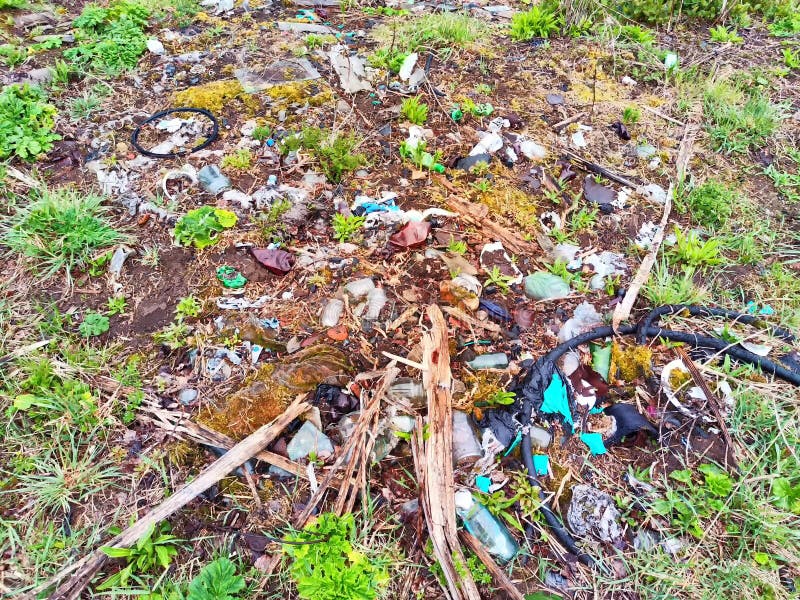Garbage in Nature. Destruction of the Environment. Litter and Debris ...